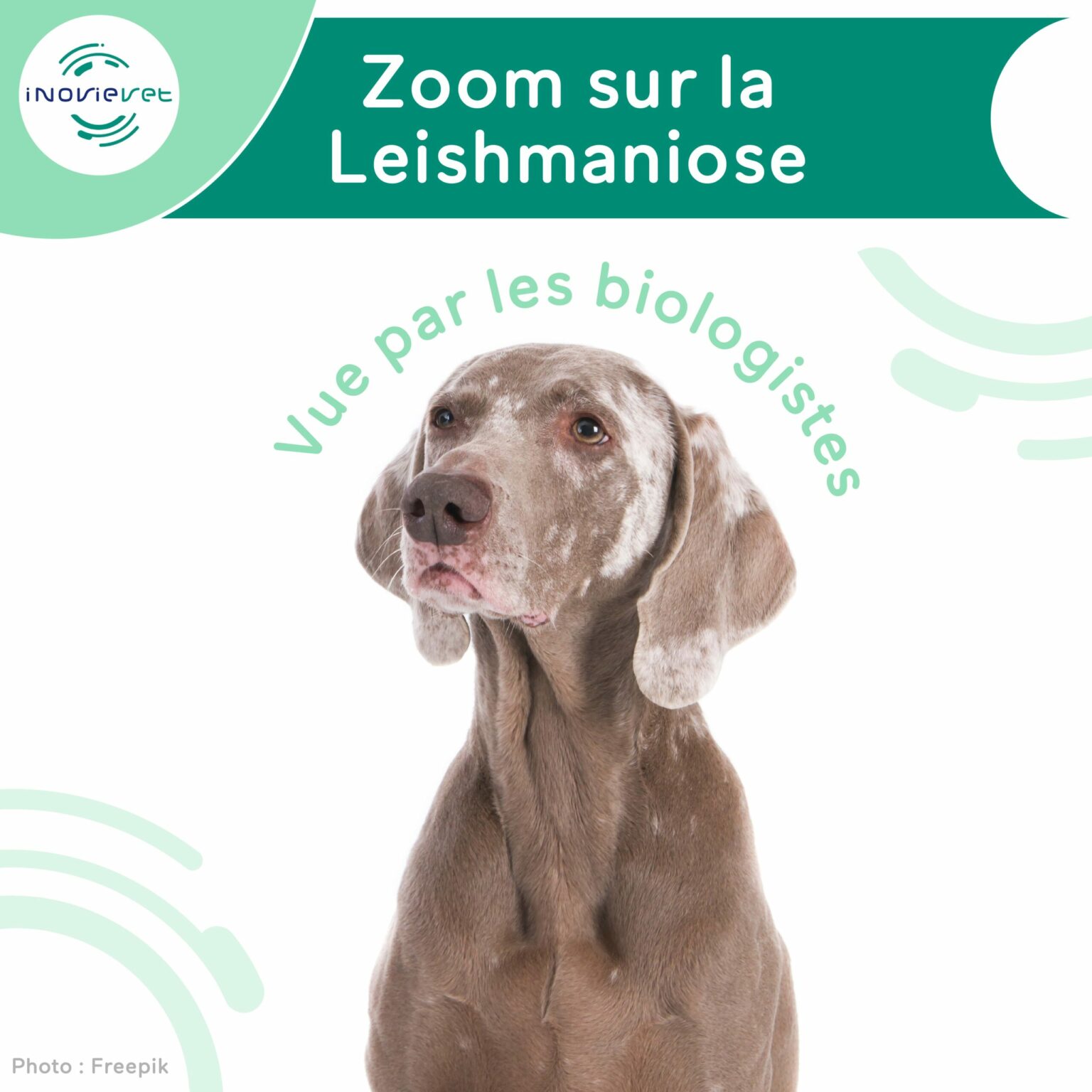 La Leishmaniose, vue par les biologistes | Anydiag